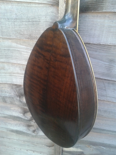 Purveyors of Quality Musical Instruments | Weymann ‘Mandolute’ c1920s ...