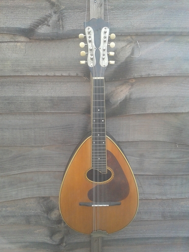 Purveyors of Quality Musical Instruments | Mandolins