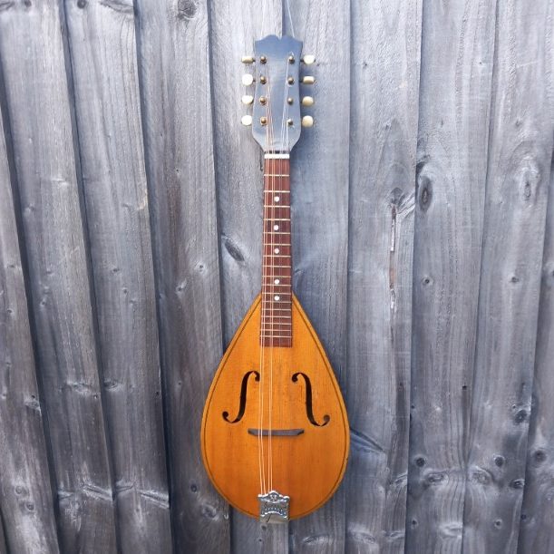 Purveyors of Quality Musical Instruments | Mandolins